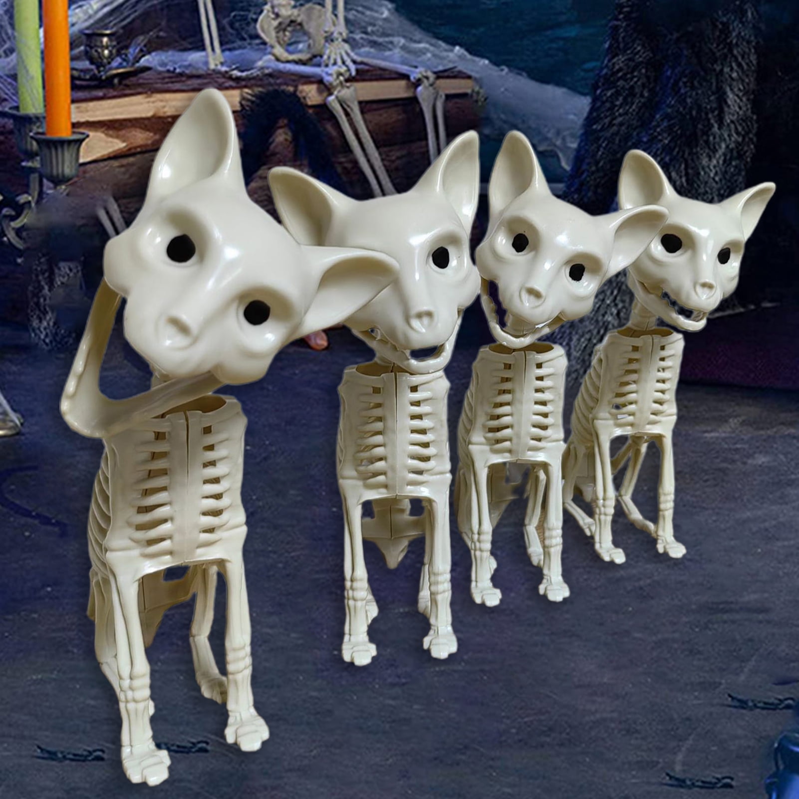 Yanerim Halloween Skeleton Cat Decoration Realistic Posable Plastic ...