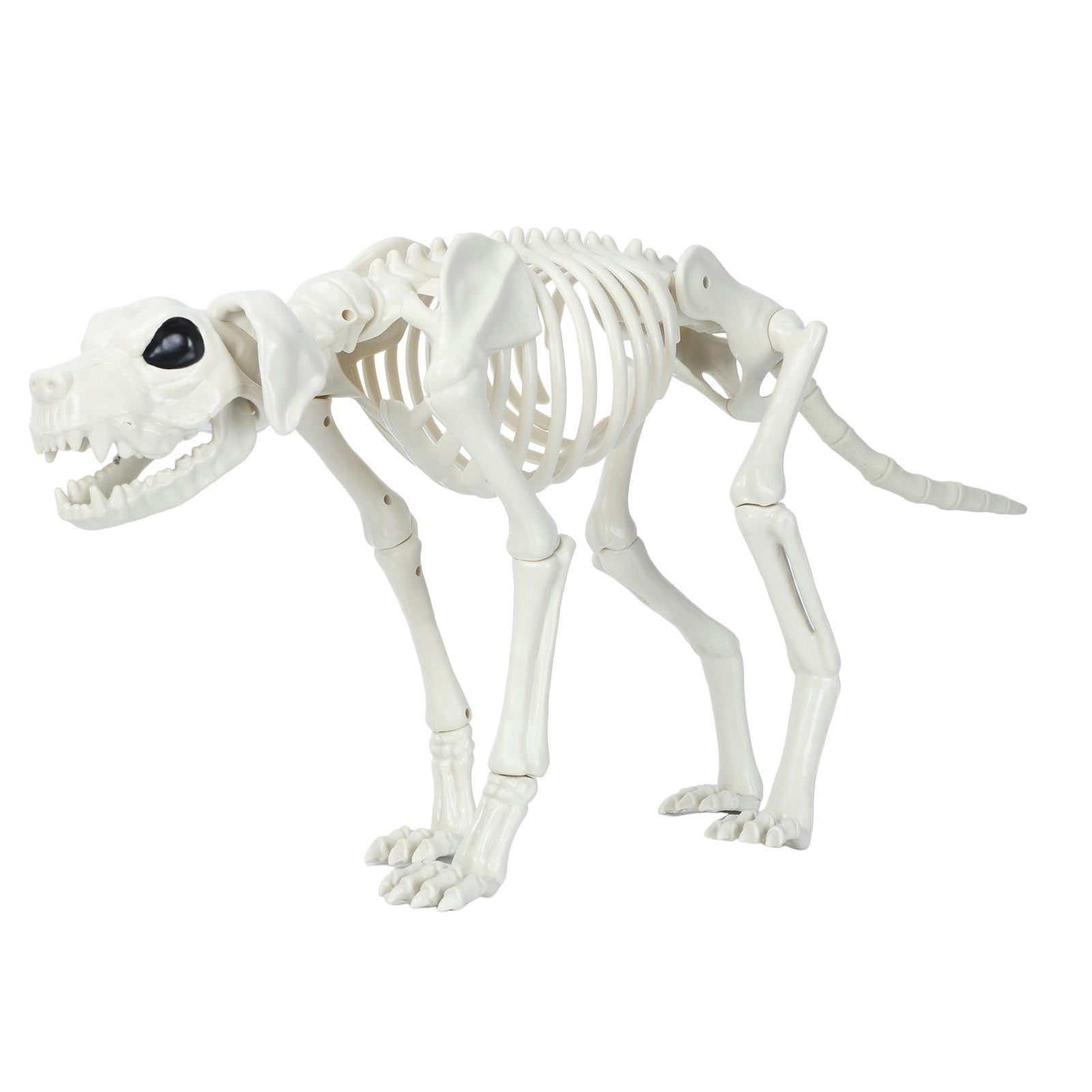 Yanerim Halloween Skeleton Dog Decoration Plastic Puppy Skeleton Bone ...