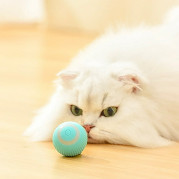 YaoZQ Interactive Smart Cat Toy, Electric Rolling Ball with Sound ...