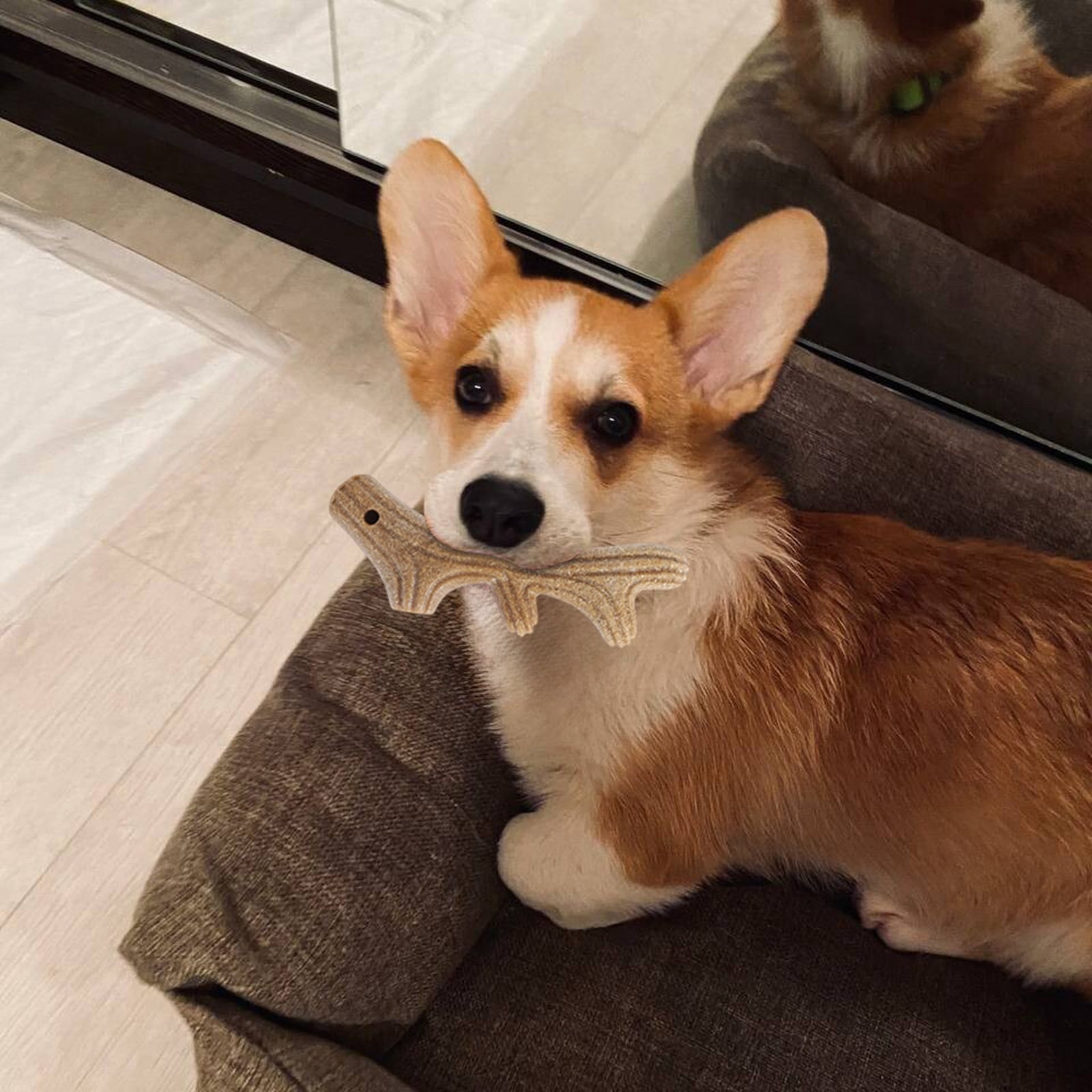 YaoZQ Puppy Teething Chew Toy, Small Antler Shaped Wood Molar Stick ...