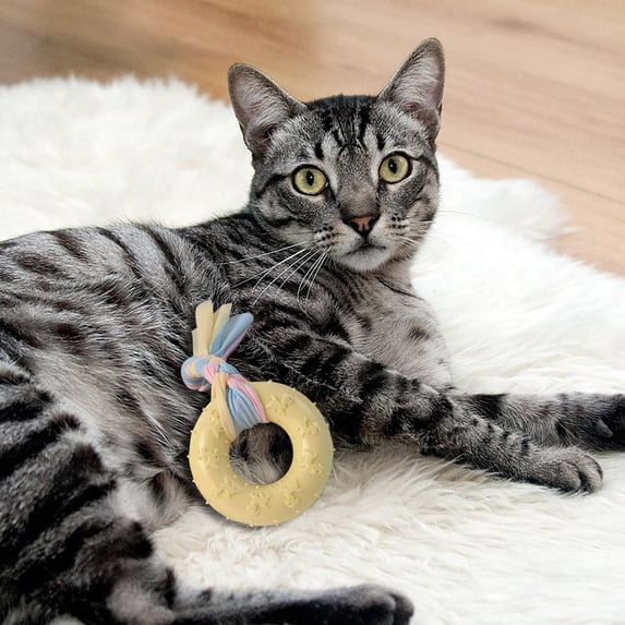 YaoZQ Soft Dog Chew Toy, Cream Rubber Circle with Ribbon Tags ...