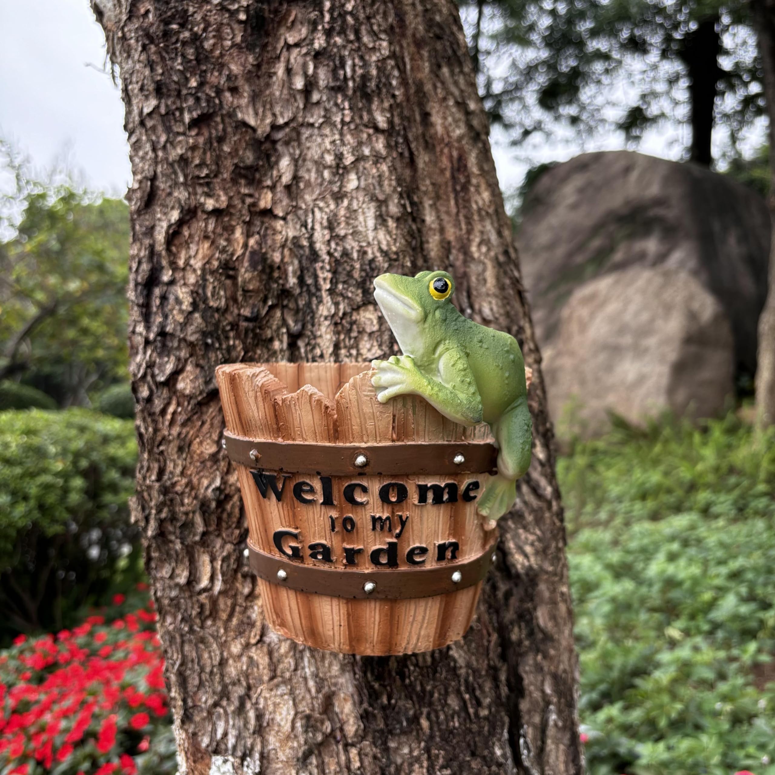 Yaoemei Succulent Planter, Cute Frog Pots, Home Garden Decor Frog ...