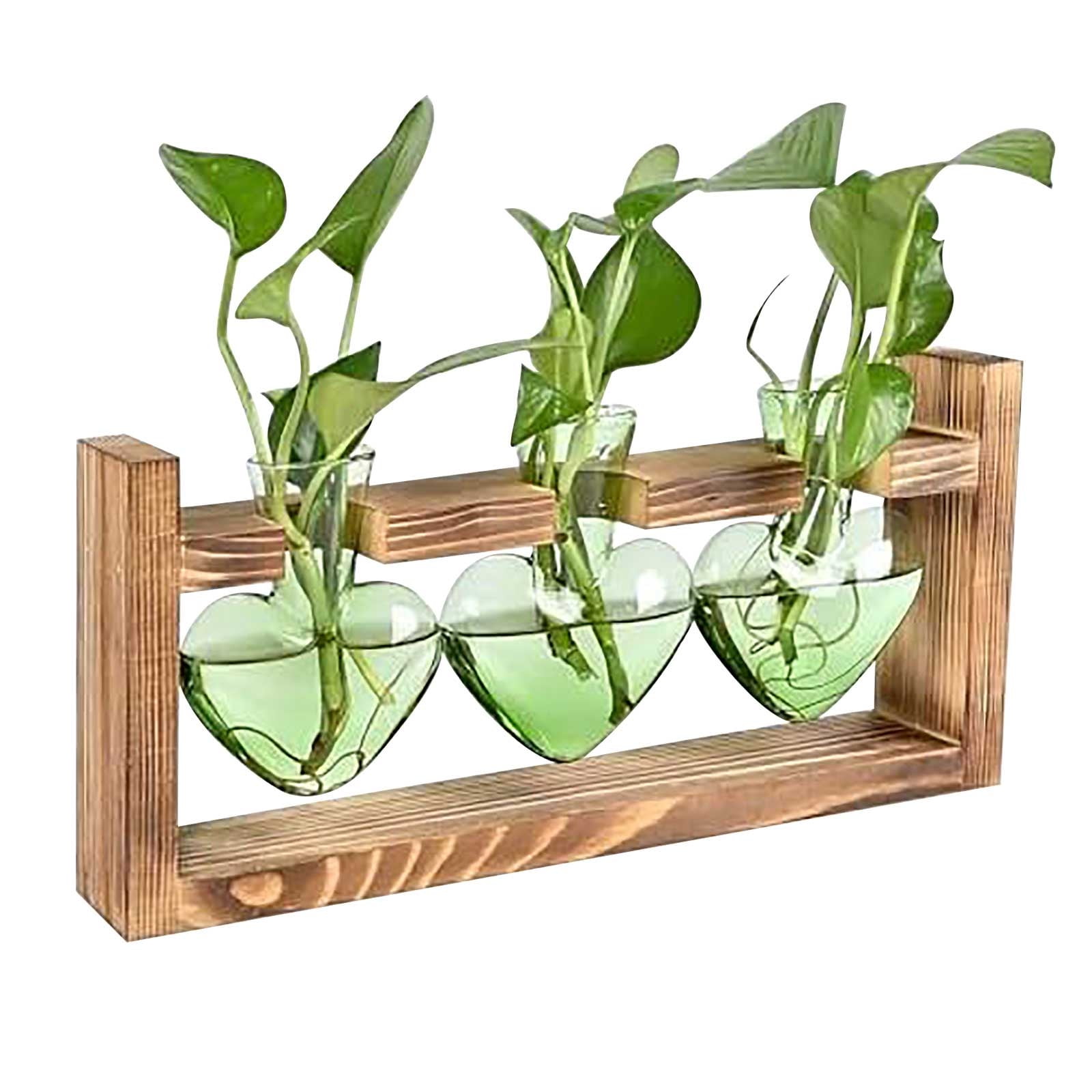 Yaoyar New Popular Bulb Glass Vases for Flowers, Clear Decorative Bulb ...