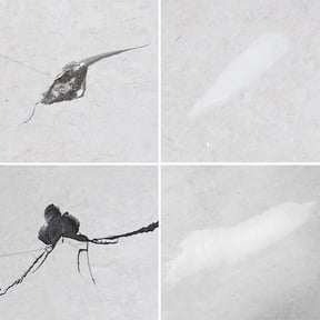 Ceramic Repair Filler for Tiles and Porcelain Home Improvement