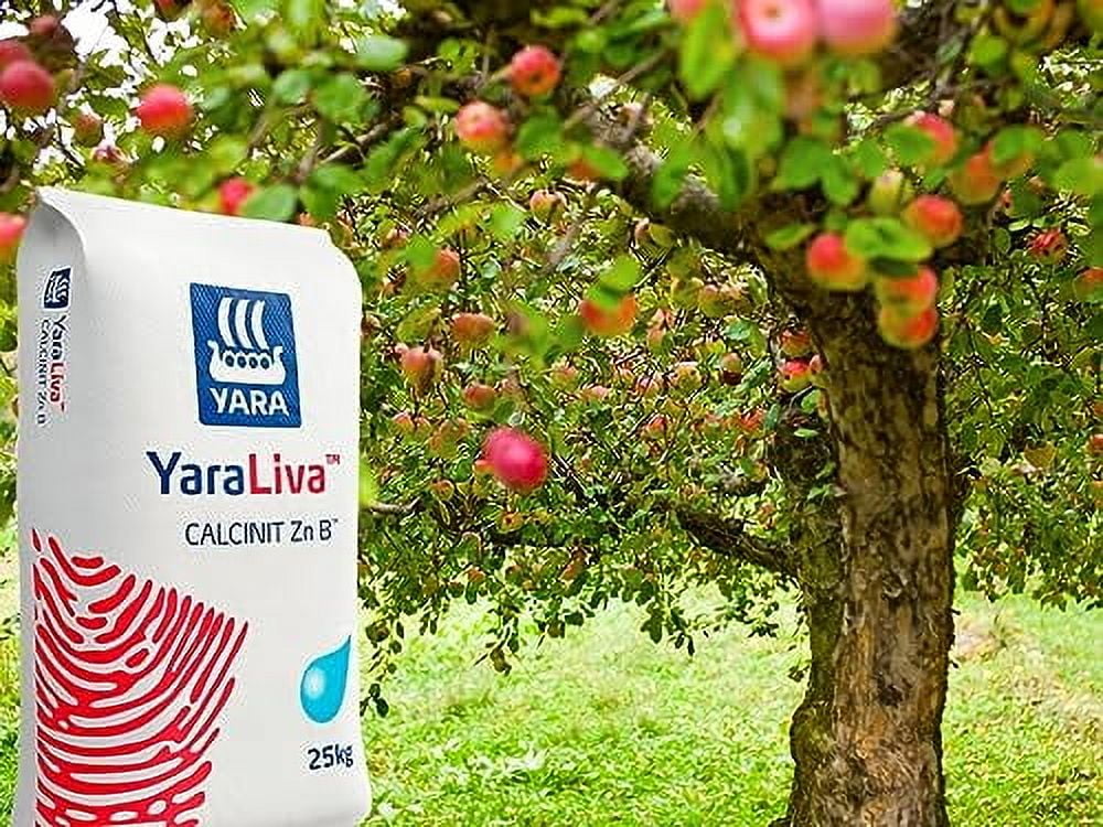 Yara Liva Calcium Nitrate Greenhouse Grade - 50 lb Bundled by Evergreen ...