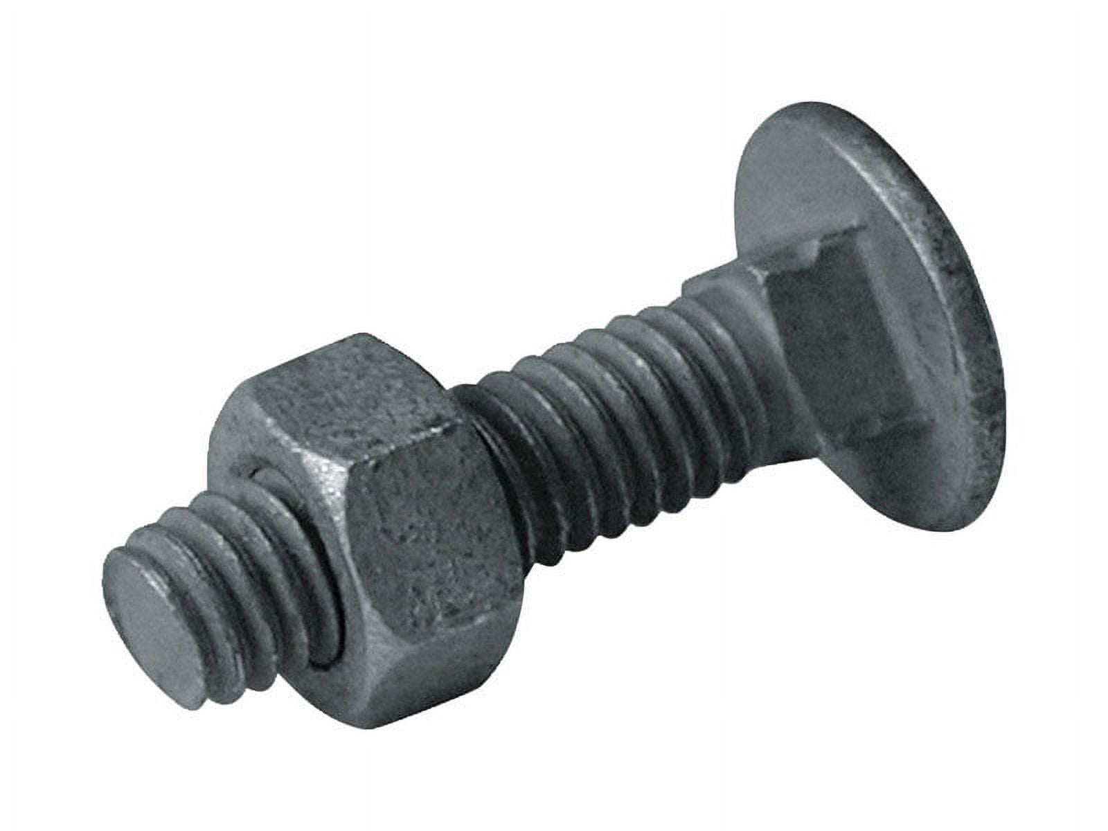 Yard Gard .709 in. H Galvanized Silver Steel Carriage Bolts - Walmart.com