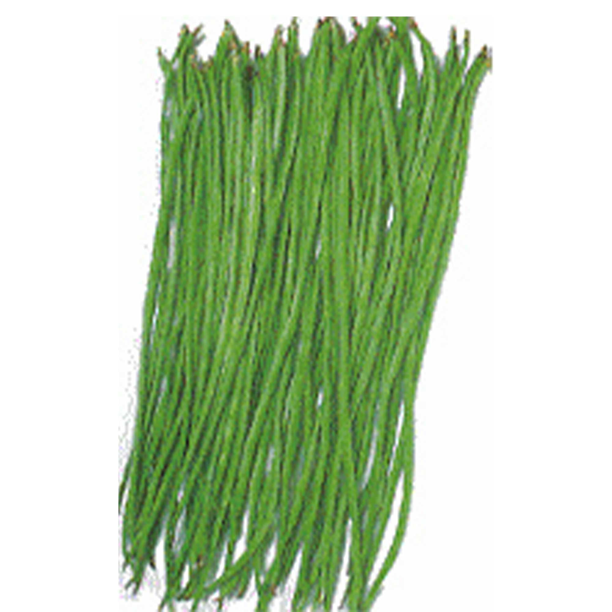 Yard Long Bean - Akasanjaku - 5 g Packet ~30 Seeds - Non-GMO, Heirloom ...