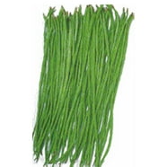 Fischers Ragwort - Gom Chwi - 1 Oz ~22500 Seeds - Non-GMO, Heirloom ...