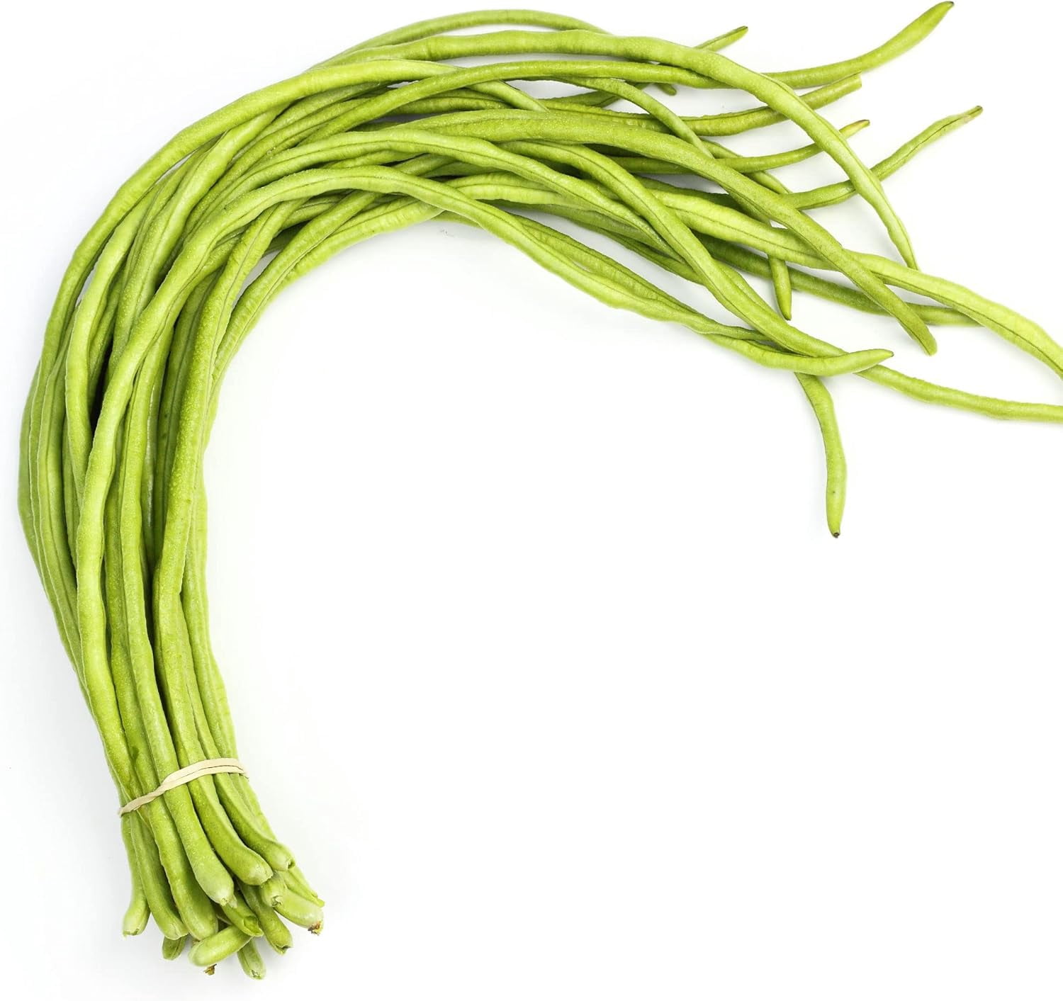 Yard Long Bean - White Seeded - 1 Lb ~2880 Seeds - Non-GMO, Heirloom ...