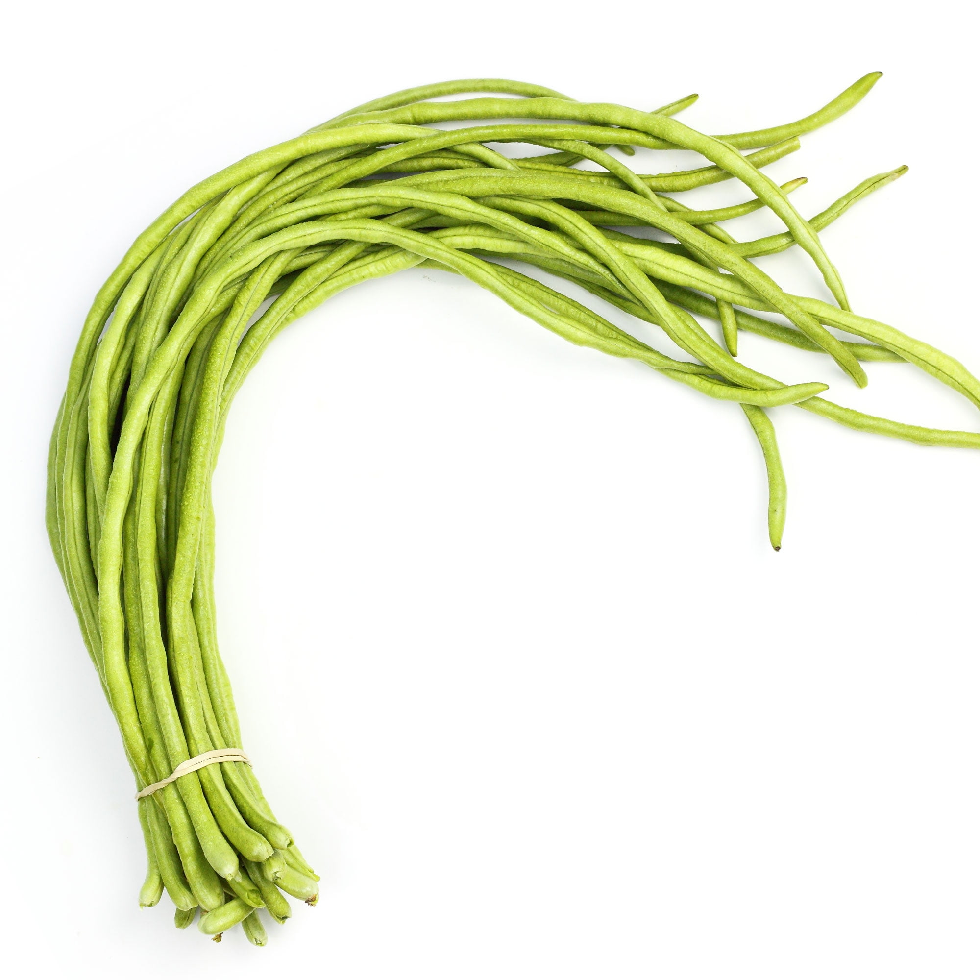 Yard Long Bean - White Seeded - 4 Oz ~720 Seeds - Non-GMO, Heirloom ...