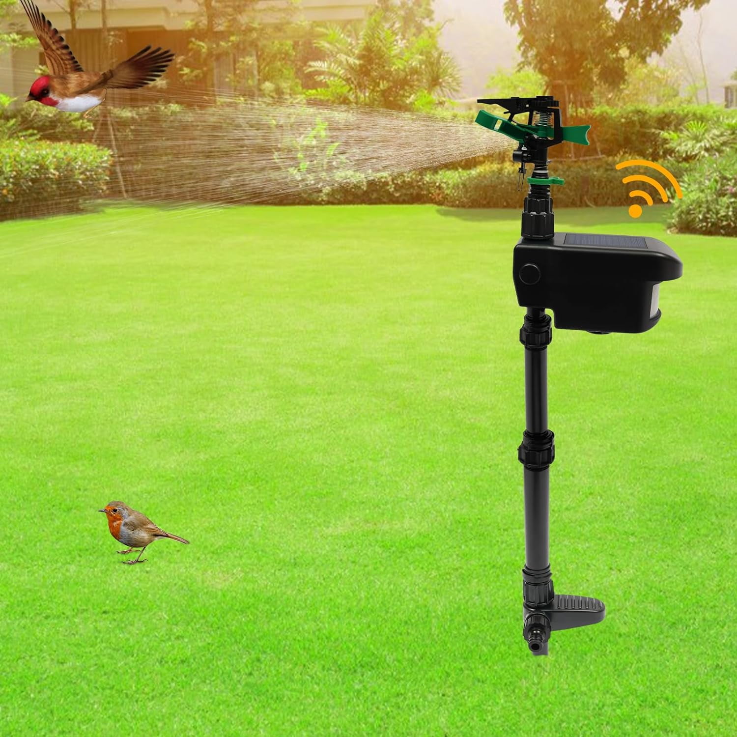 Yard Patrol Motion Activated Sprinkler - Outdoor Solar Motion Activated ...