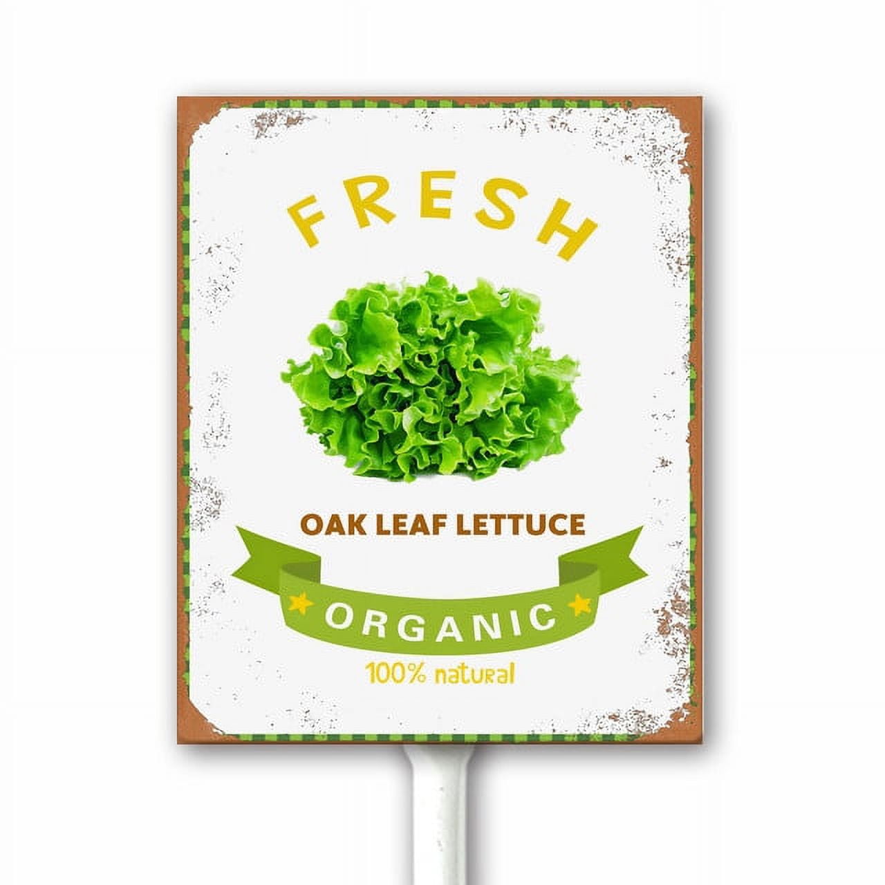 Yard Signs With Stakes,Black Lives Matter Science Love Human Rights ...