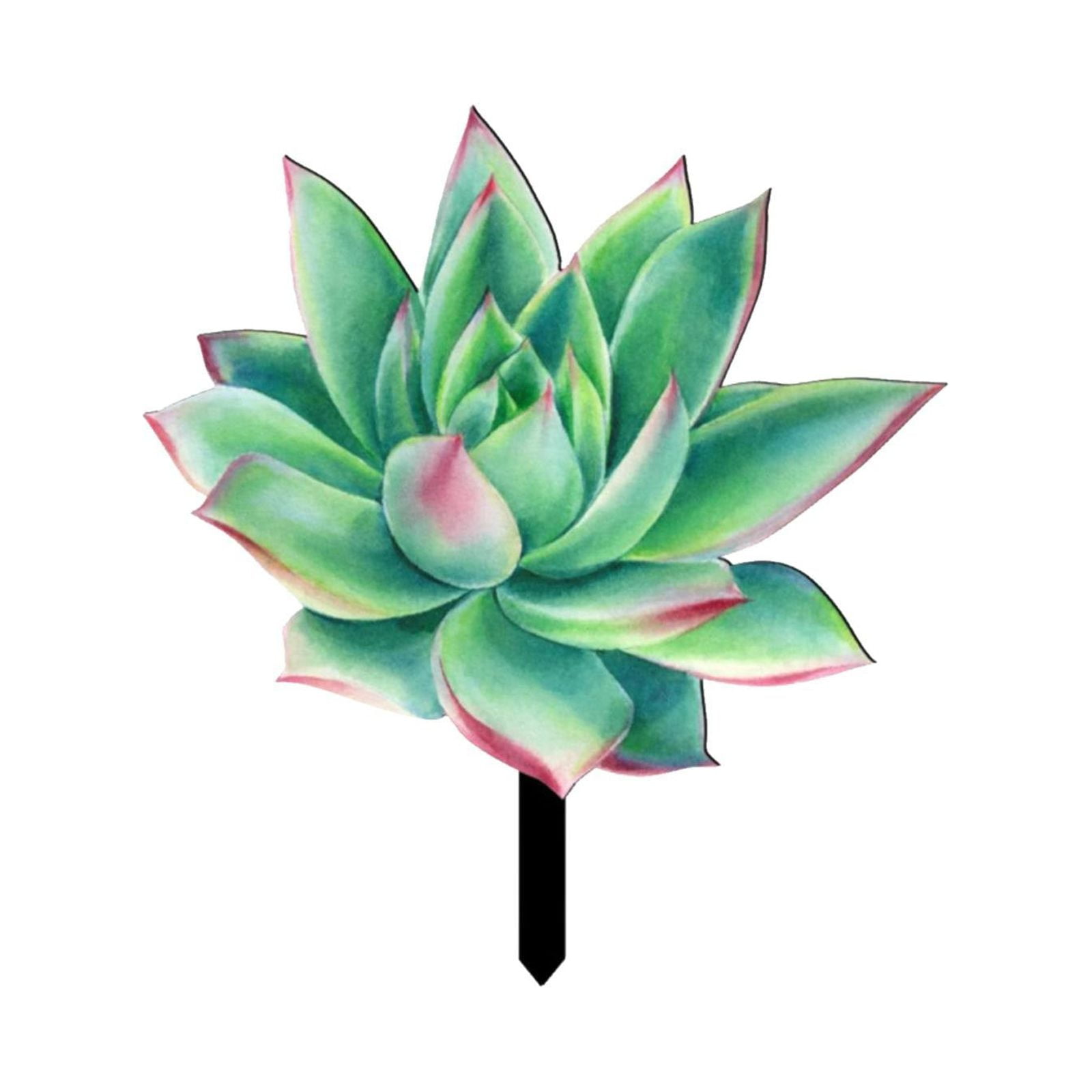 Yard Stake Succulent Acrylic Outdoor Garden Ground Insert Garden Garden ...