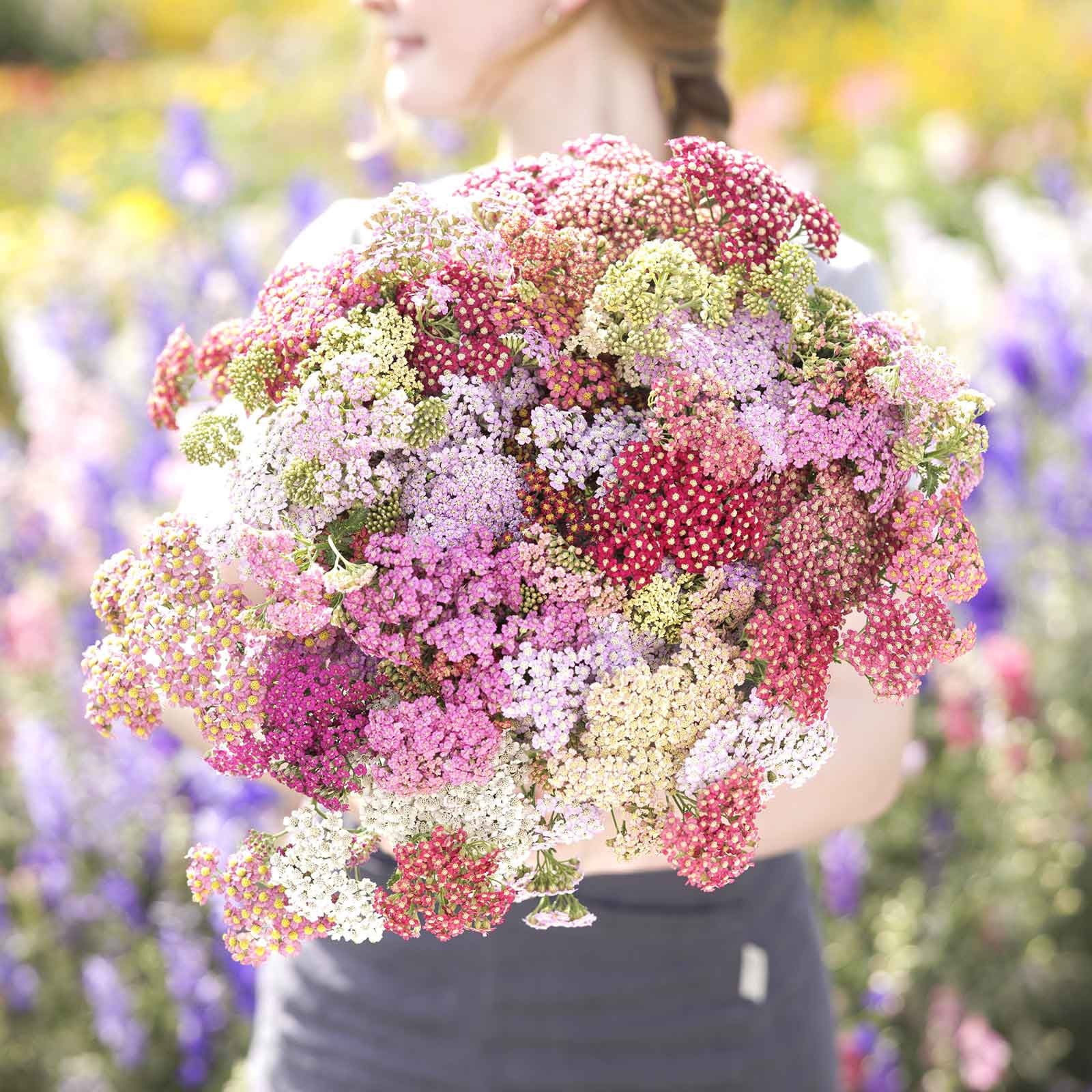 Eden Brothers Yarrow Roots - Summer Pastels - Walmart Business Supplies