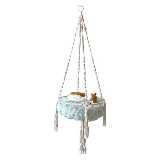 Cat Swing