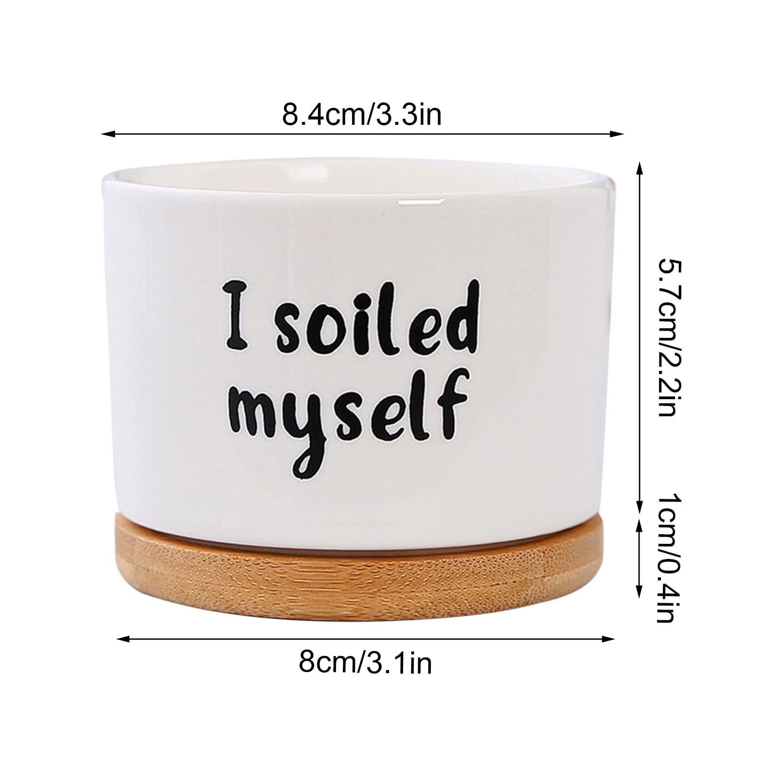 Yatlte Funny Succulent Plant Pot, Small Ceramic Cactus Planter Pot for ...