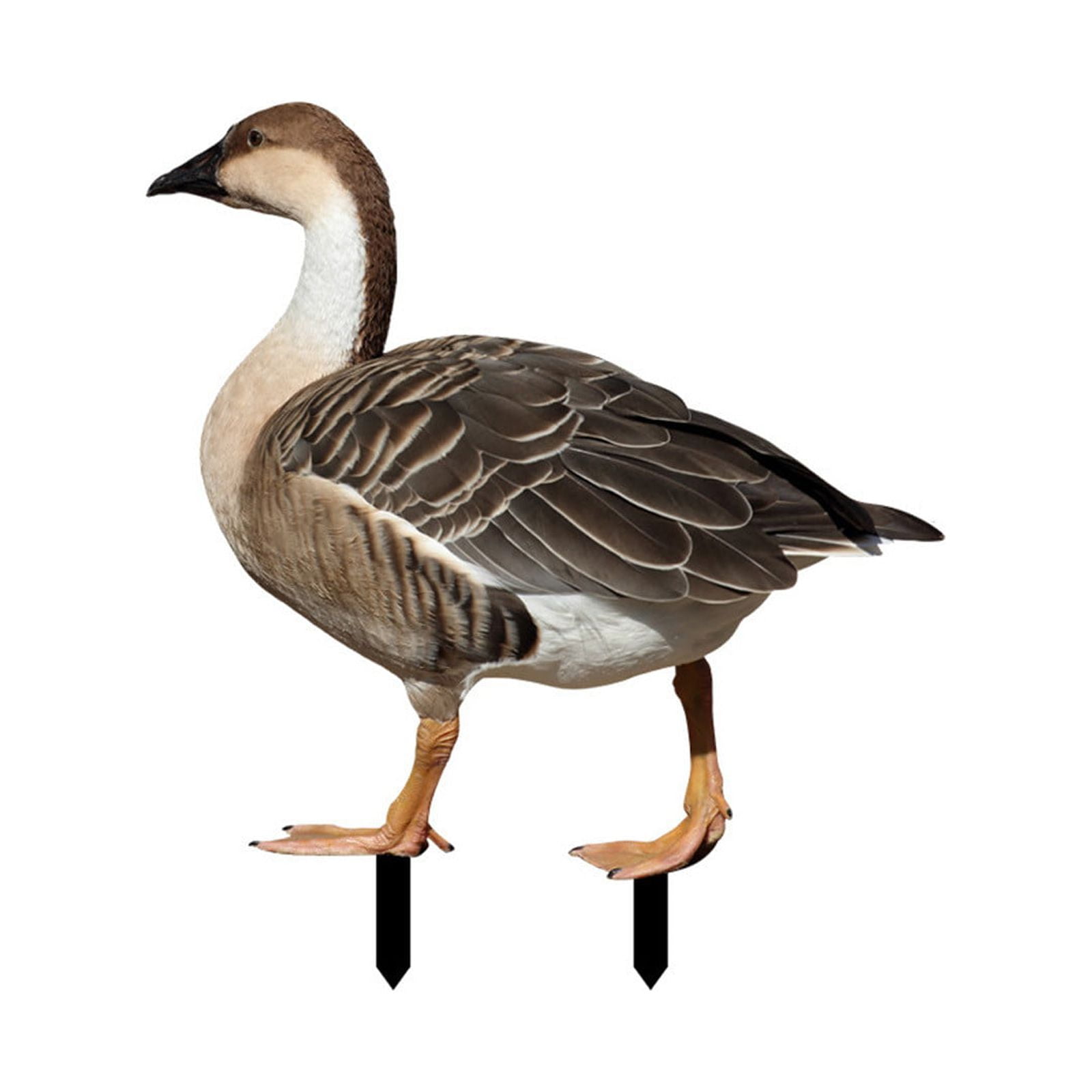 Yatlte Real Farm Duck Statues, Indoor/Outdoor Resin Animal Statue ...