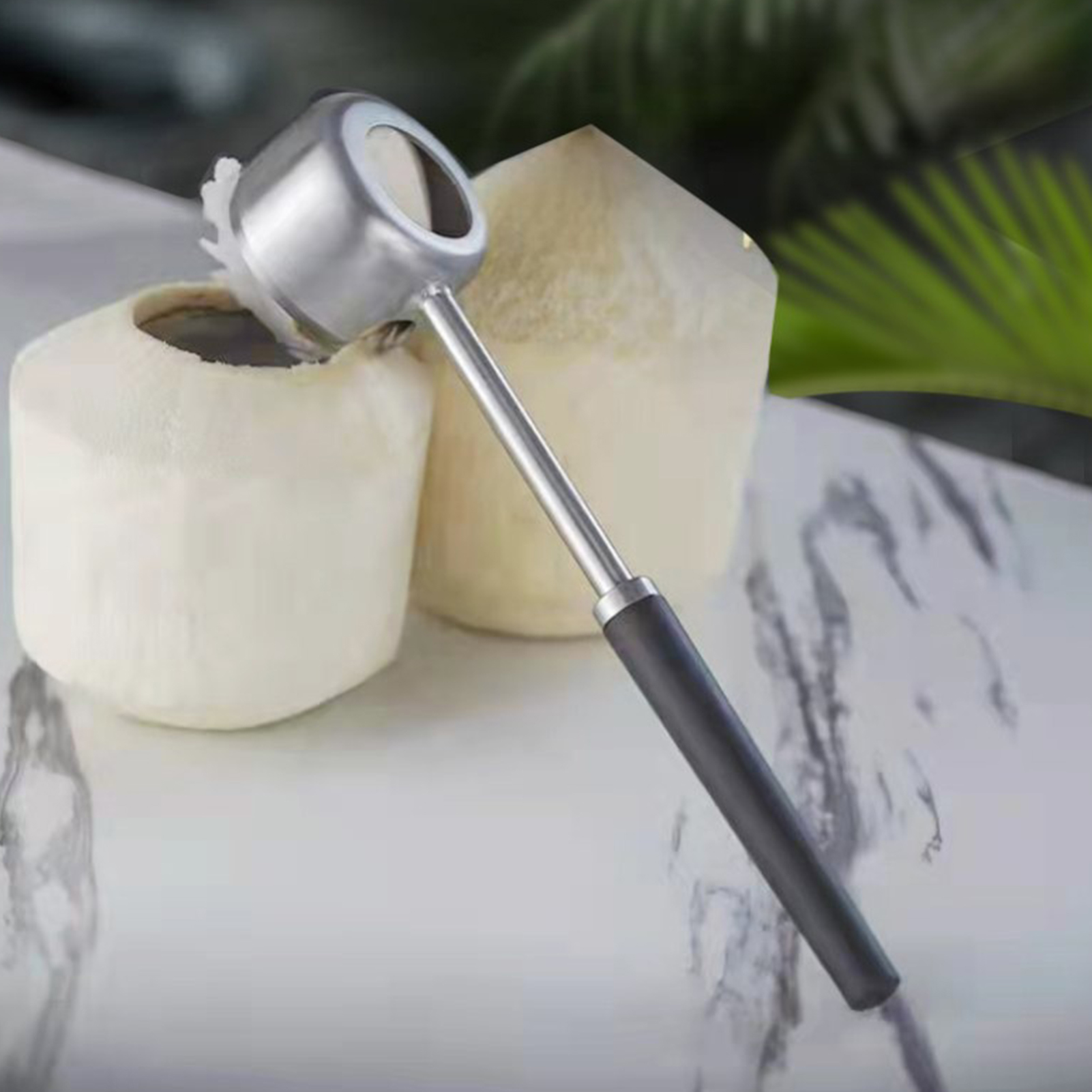 Ybeauty Coconut Opener Food Grade Rust-proof Stainless Steel Coconut ...