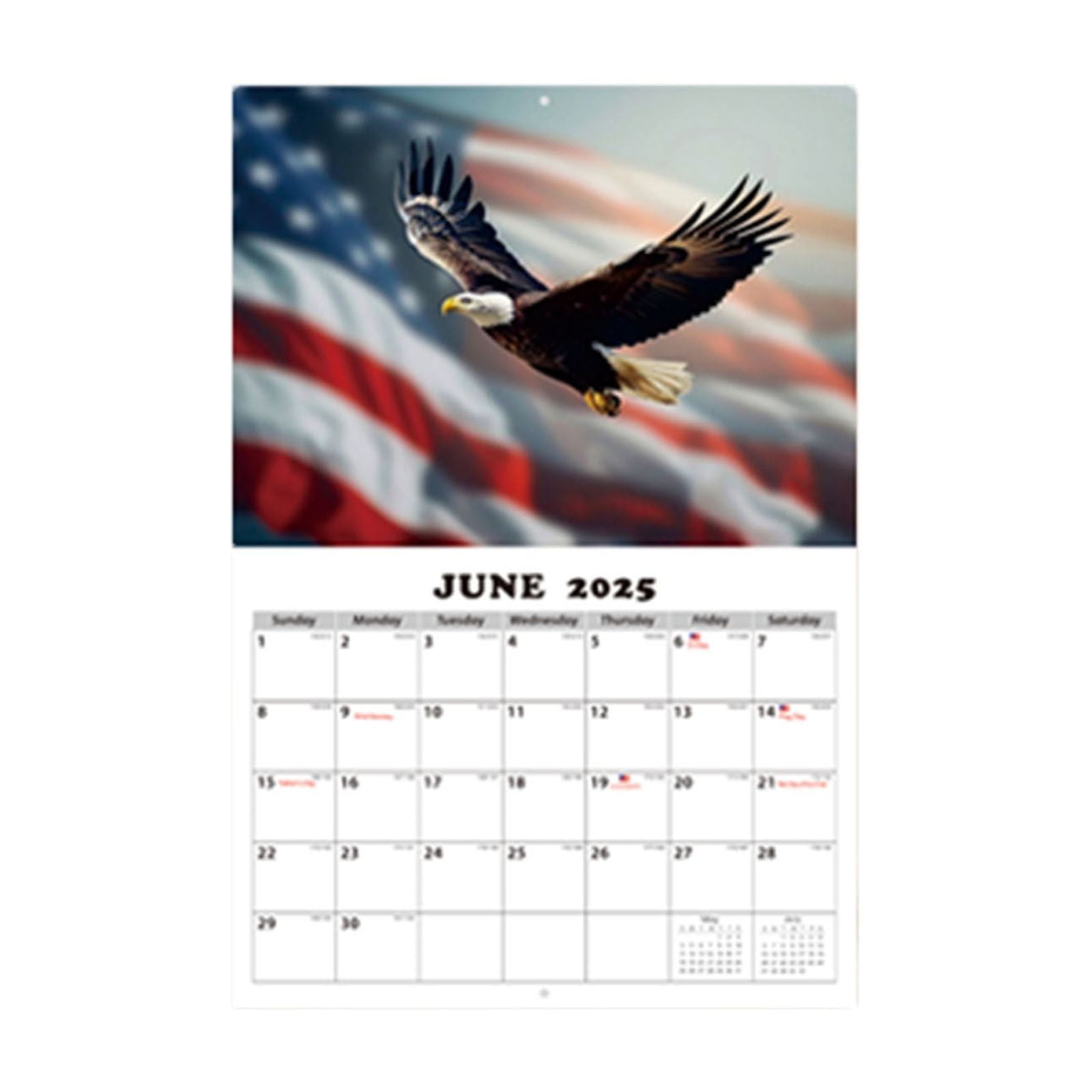 Ycandiee 2025 Birds Of Prey Photo Wall Calendar,Best Eagle, Hawk, Birds ...