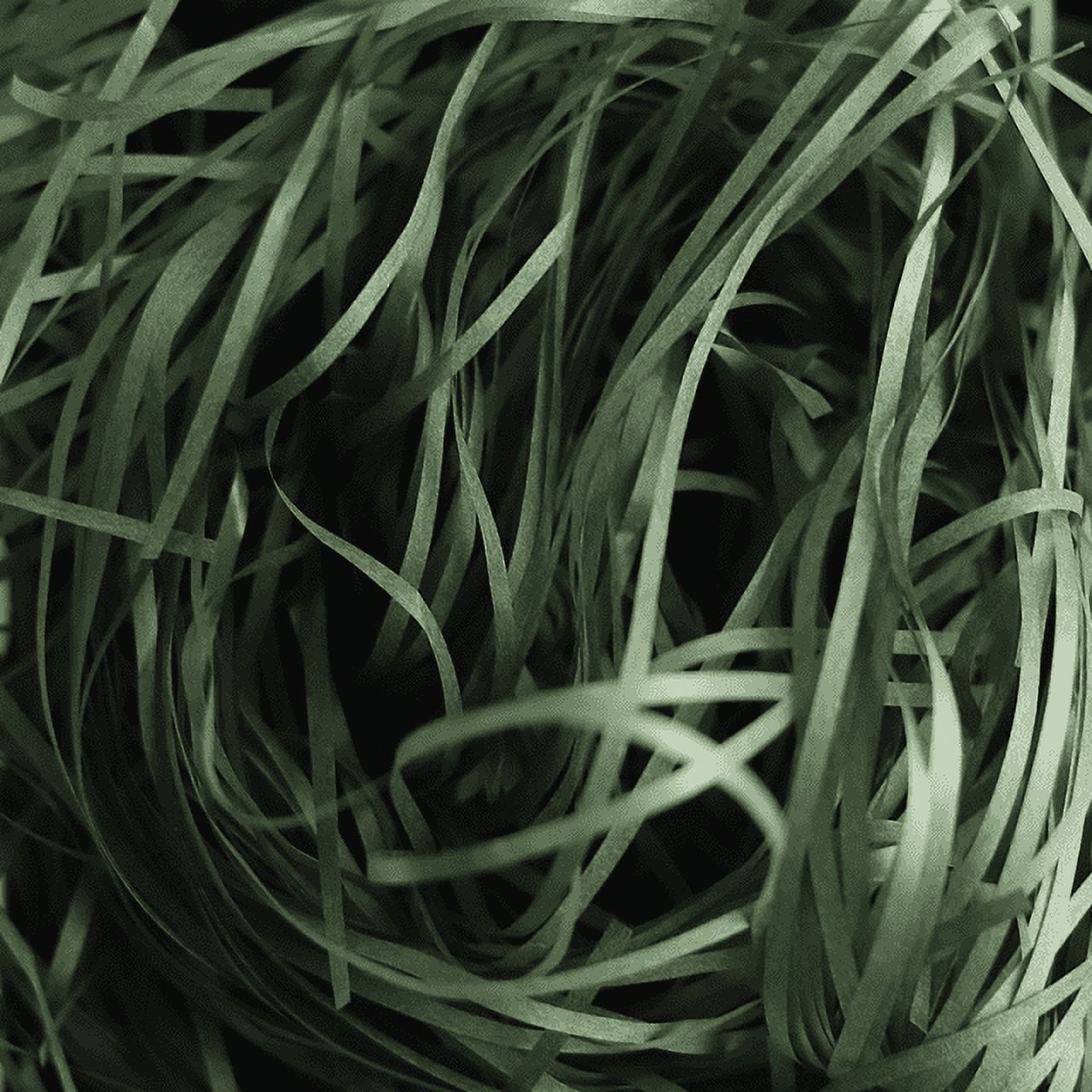 Yeahmol 50g Paper Shreds Filler Multicolored Raffia Paper Shreds ...