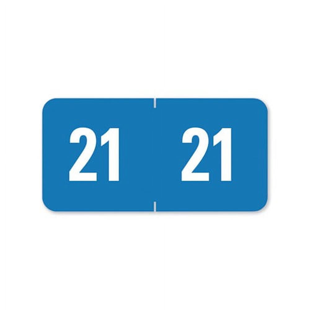 Year 2021 End Tab Folder Labels 1 x 0.5, Light Blue/White, 250 Labels ...