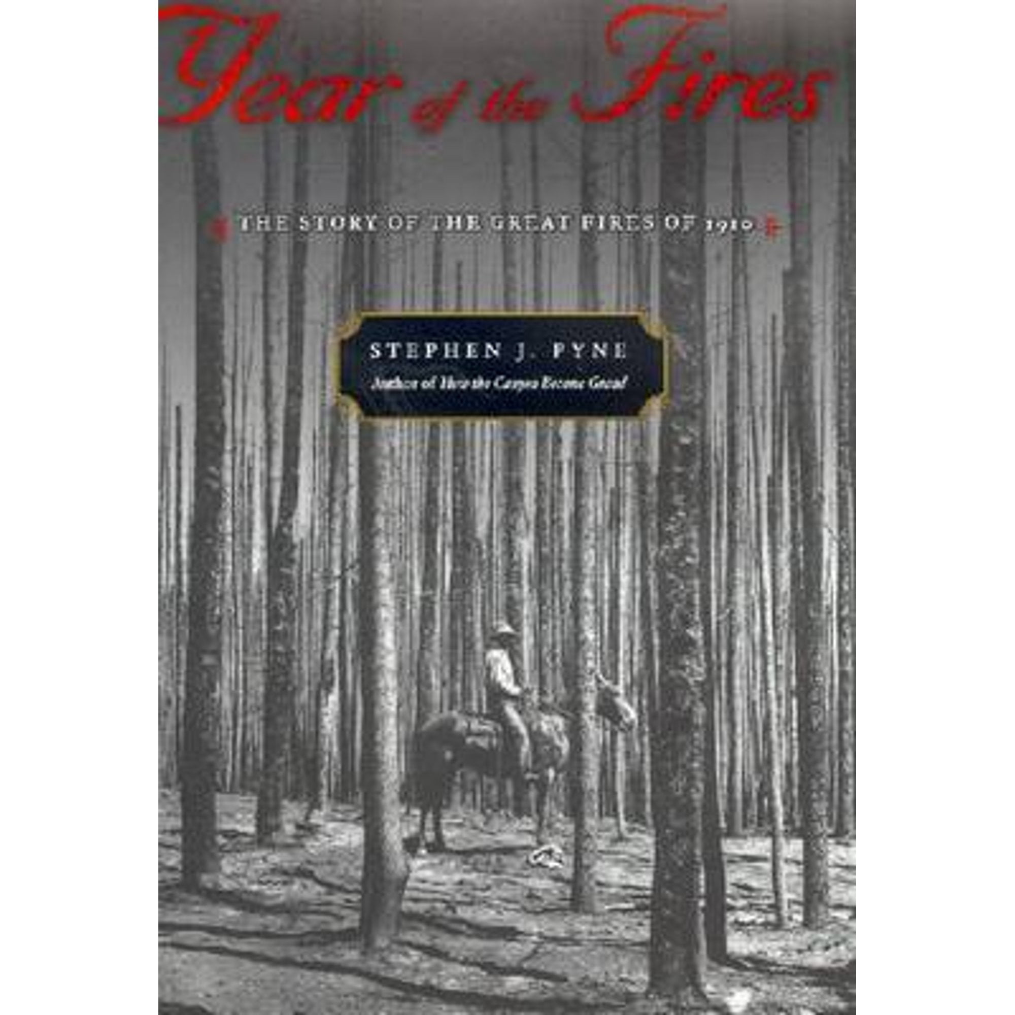 Year of the Fires : The Story of the Great Fires of 1910 - Walmart.com