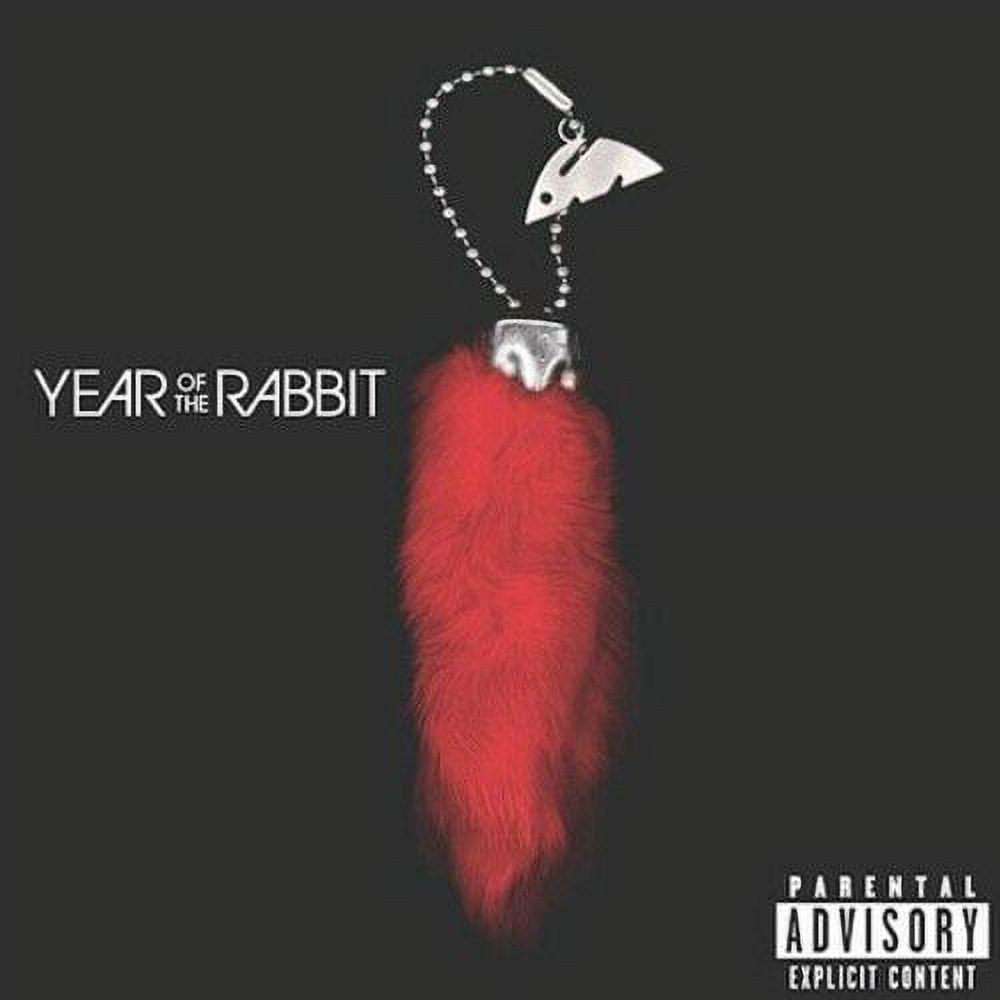 Pre-Owned Year of the Rabbit by (CD, 2003) - Walmart.com