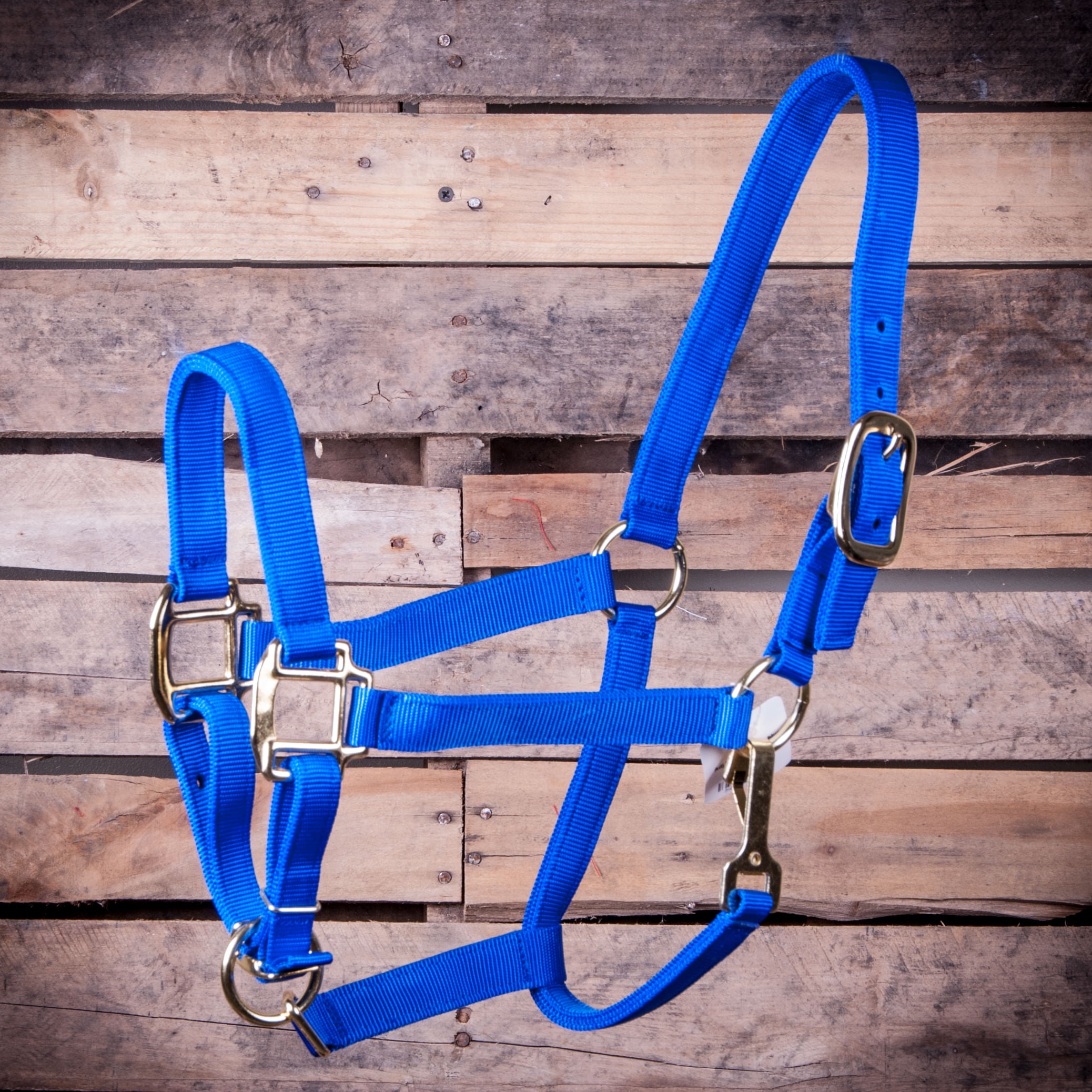 Yearling Adjustable Halter w/Throat Snap #38Y Color: Royal Blue ...