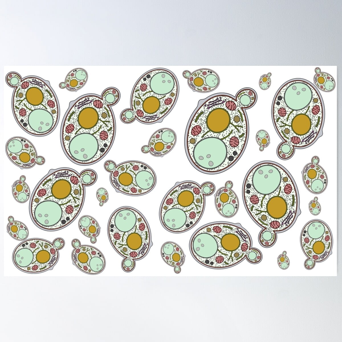 Yeast Anatomy Print Poster Wall Art, Modern Wall Decor For Living Room ...