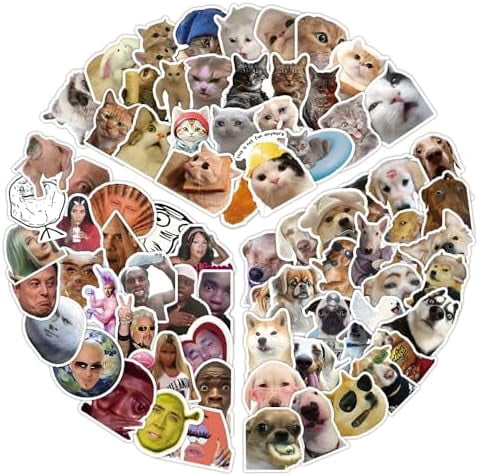 Yedobee 200Pcs Meme Stickers, Funny Stickers for Adults& Teens, Vinyl ...