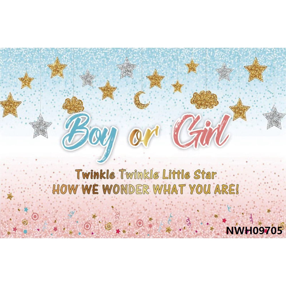 Yeele Baby Shower Backdrop For Photography Boy Or Girl Gender Reveal ...