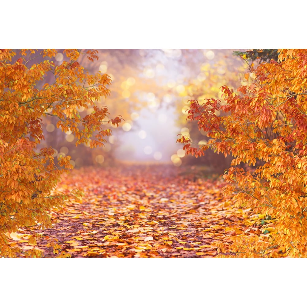 Yeele Background Photography Autumn Scenic Fallen Leaves Forest Maple ...
