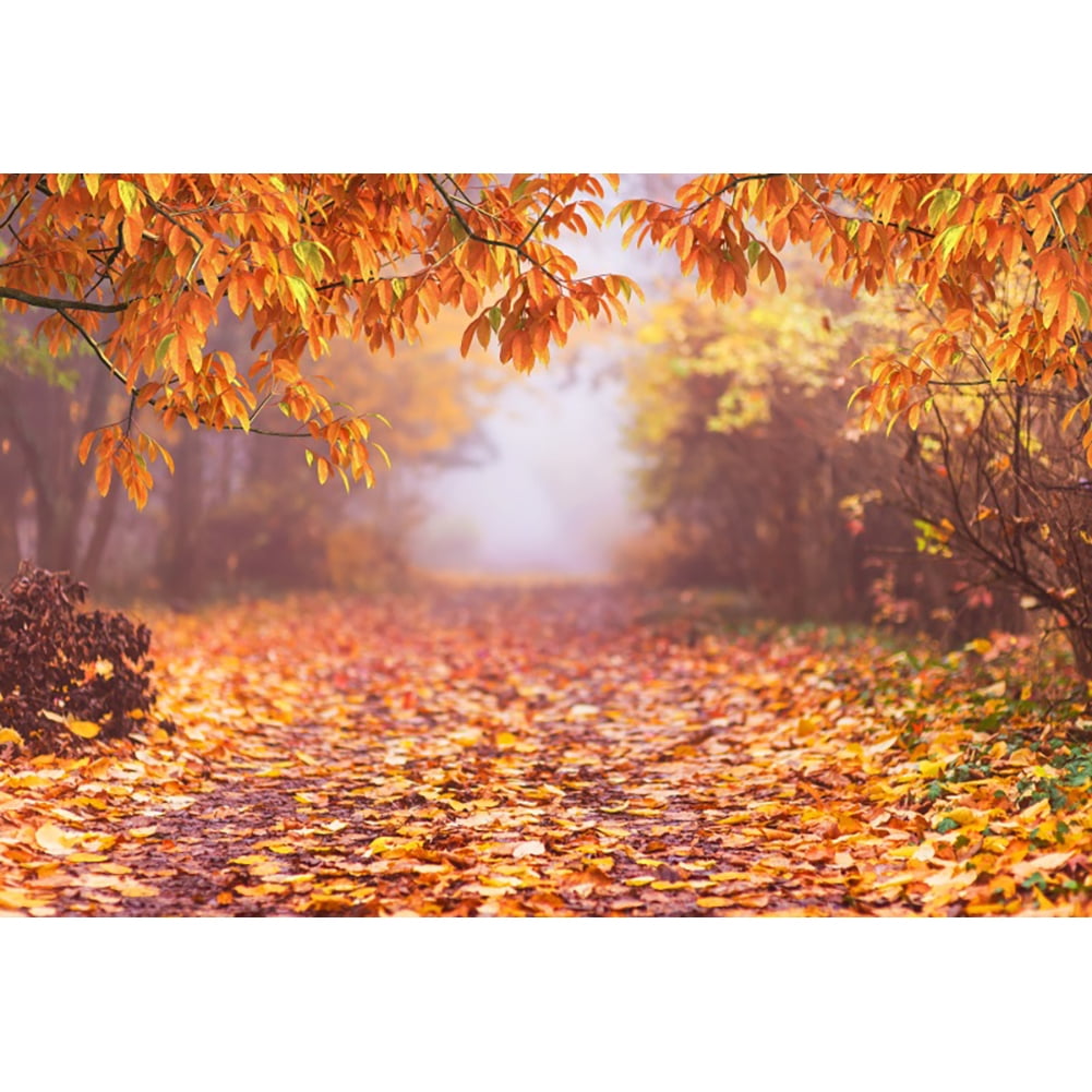 Yeele Background Photography Autumn Scenic Fallen Leaves Forest Maple ...