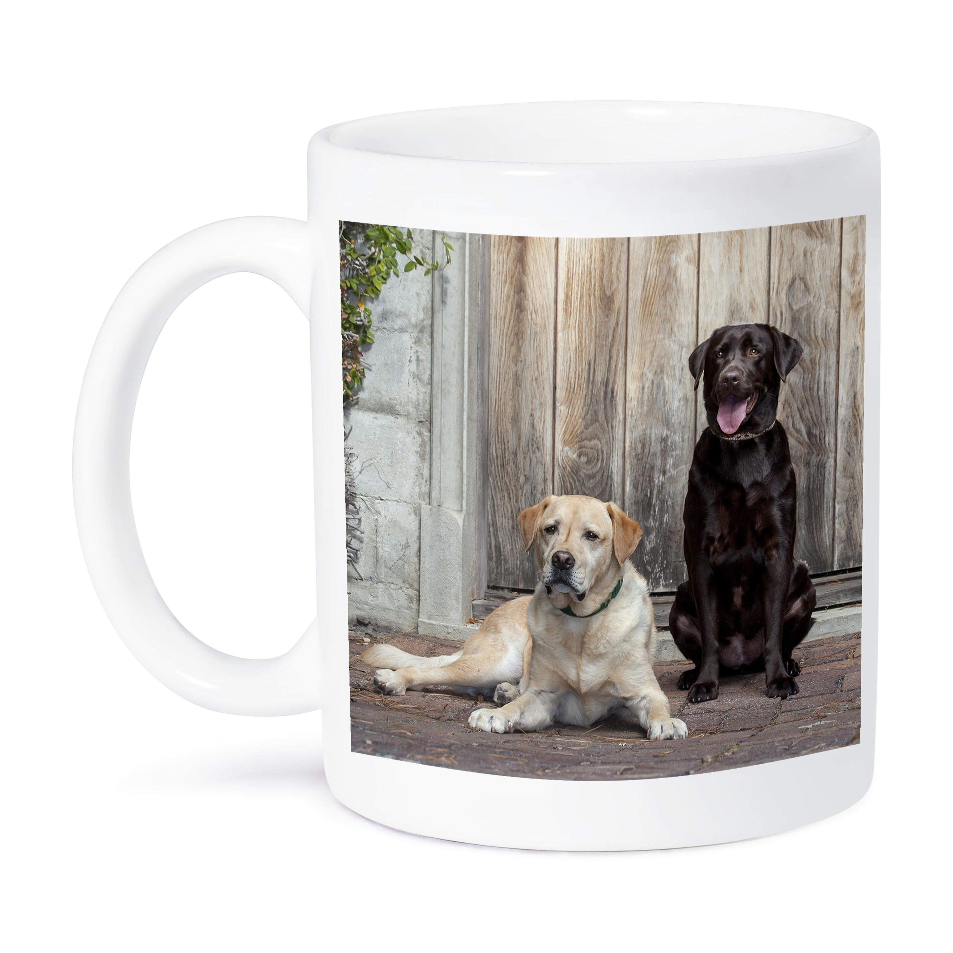 Yellow And Chocolate Labrador Retrievers Sitting On Rock Patio, 11oz ...