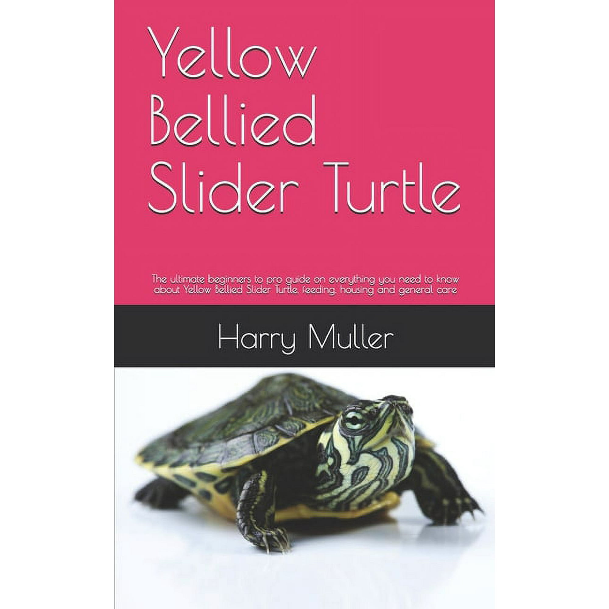 Yellow Bellied Slider