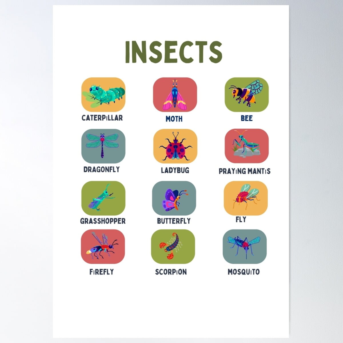 Insects Educational Poster For Kids – Fun & Colorful Bug Learning Chart ...