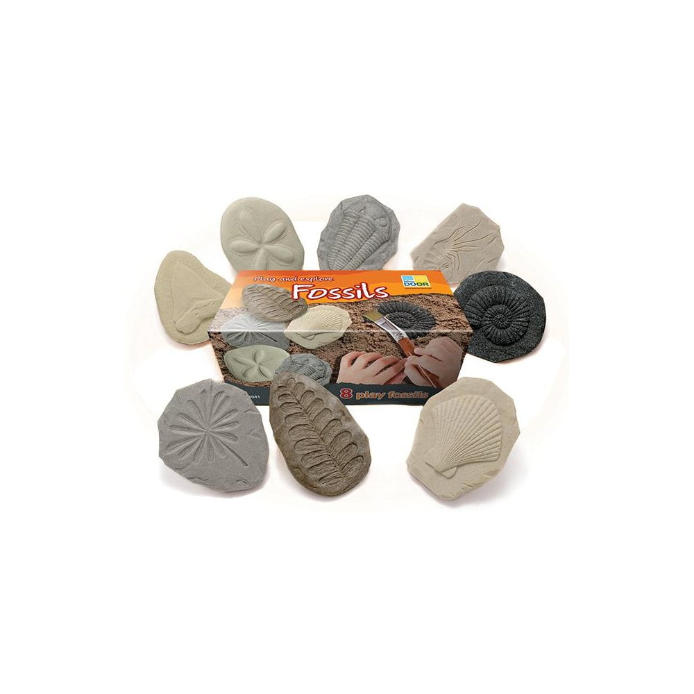 Yellow Door Fossil Set - Walmart.com