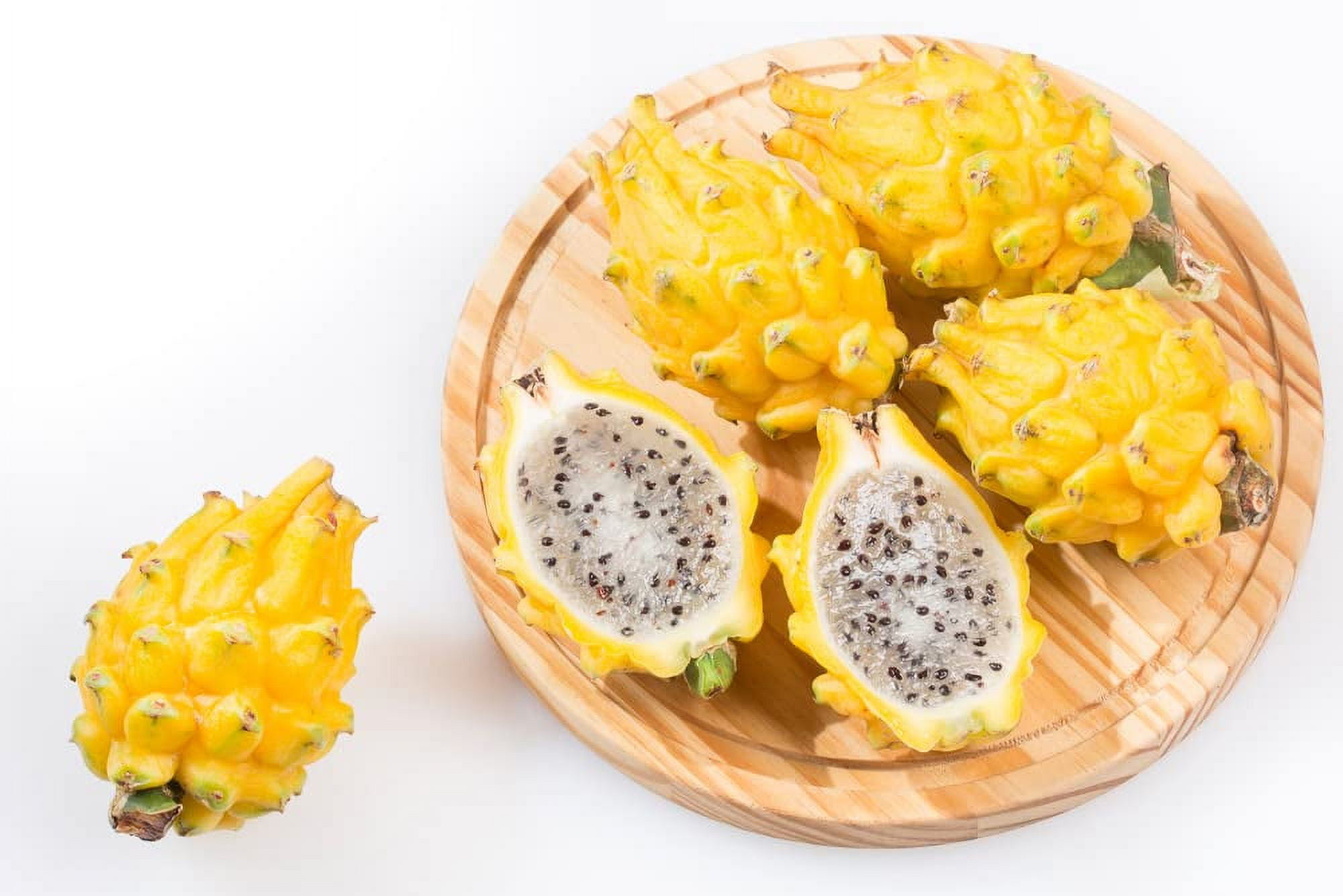 Yellow Dragon Fruit Seeds for Planting (30 Seeds) - Rare Exotic Fruit ...