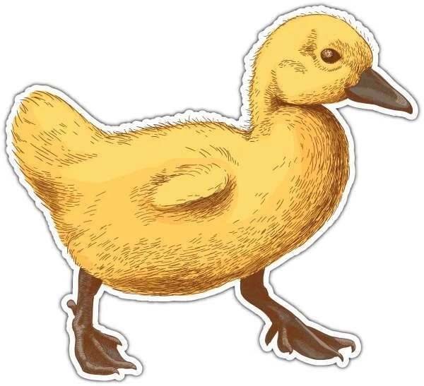 Yellow Duckling Duck Farm Bird Car Window Stickerphone Decal Water ...