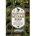 Yellow-Faced Mynah Bird: A Comprehensive Reference Exploring ...