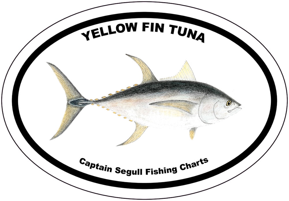 Yellow Fin Tuna Bumper Sticker - Walmart.com