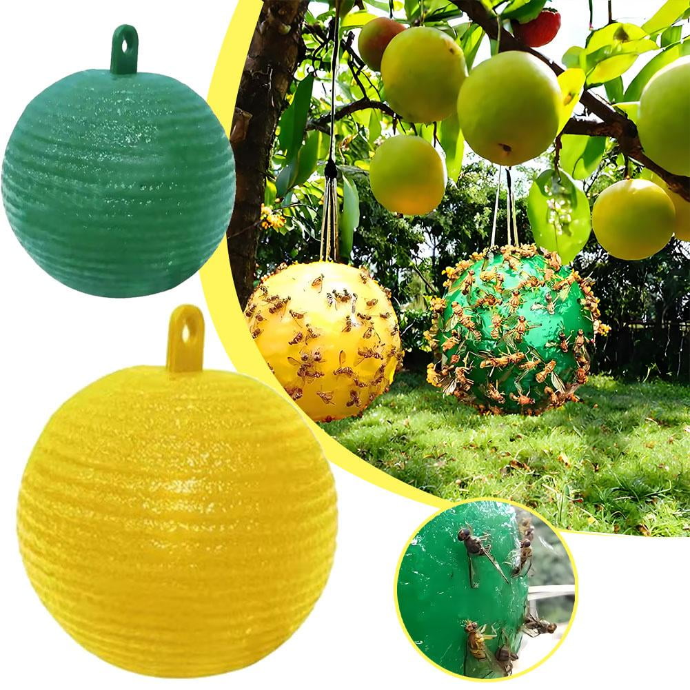 Yellow Fly Ball Fruit Fly Trap Sticky Insect Ball Citrus Needle Wasp ...