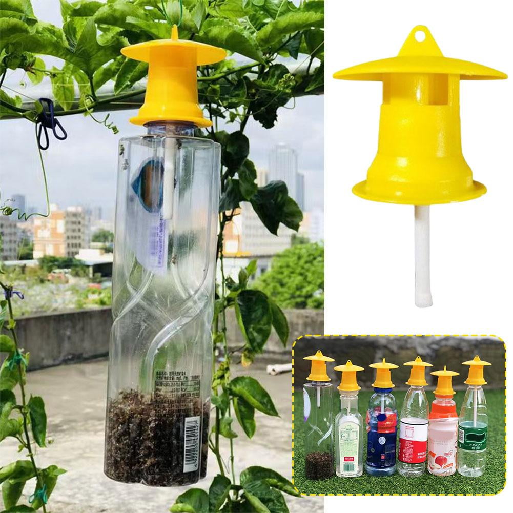 Yellow Fruit Fly Trap Orchard Vegetable Sweet Potato Fruit Fly Needle ...