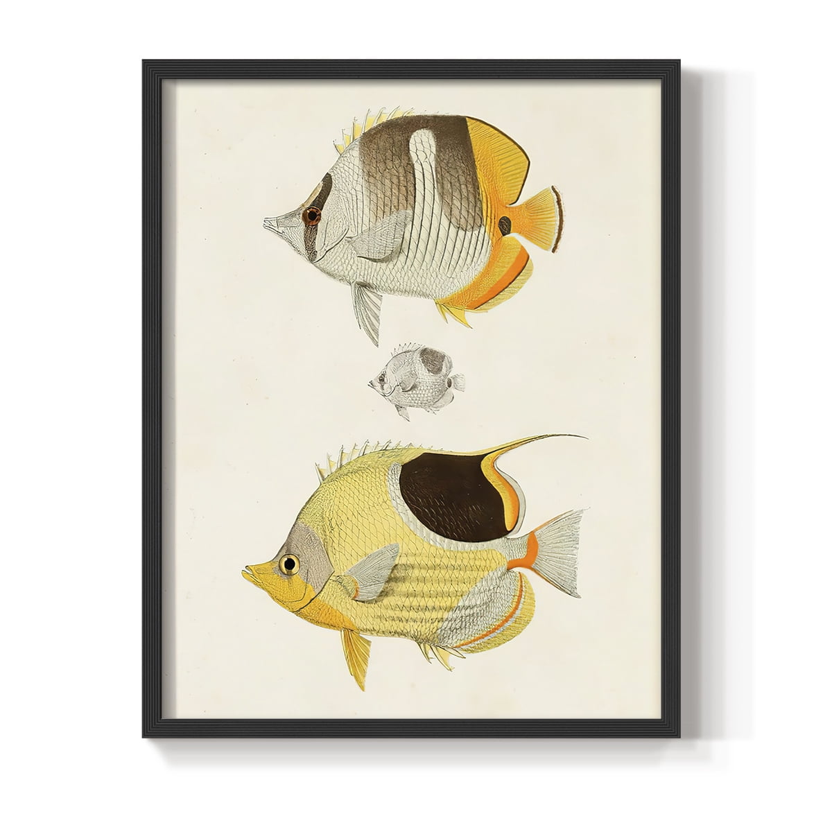 Yellow & Grey Fish II Framed Print - Solid Wood in Single Picture Frame ...