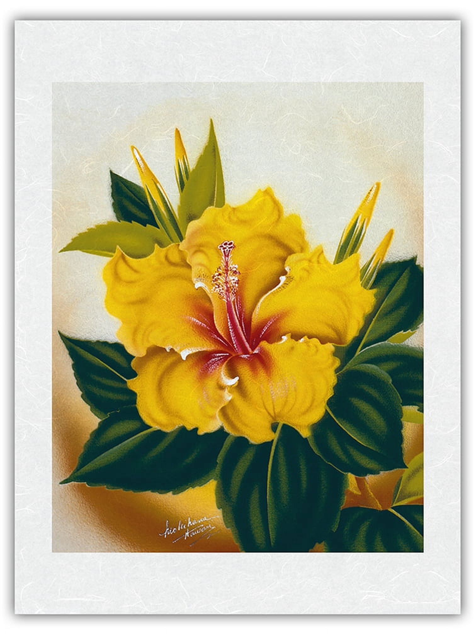 Yellow Hibiscus Flower - Hawai’i - Vintage Hawaiian Airbrush Art by Ted ...