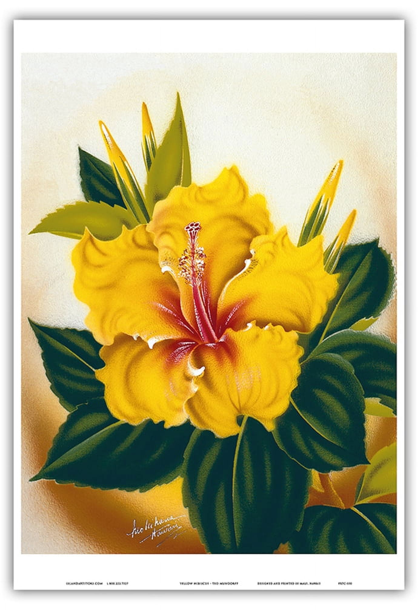 Yellow Hibiscus Flower - Hawai’i - Vintage Hawaiian Airbrush Art by Ted ...