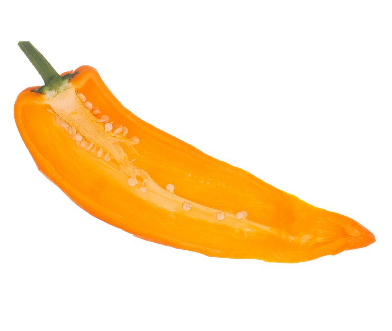 Yellow Hungarian Hot Chile Heirloom Pepper Premium Seed Packet ...