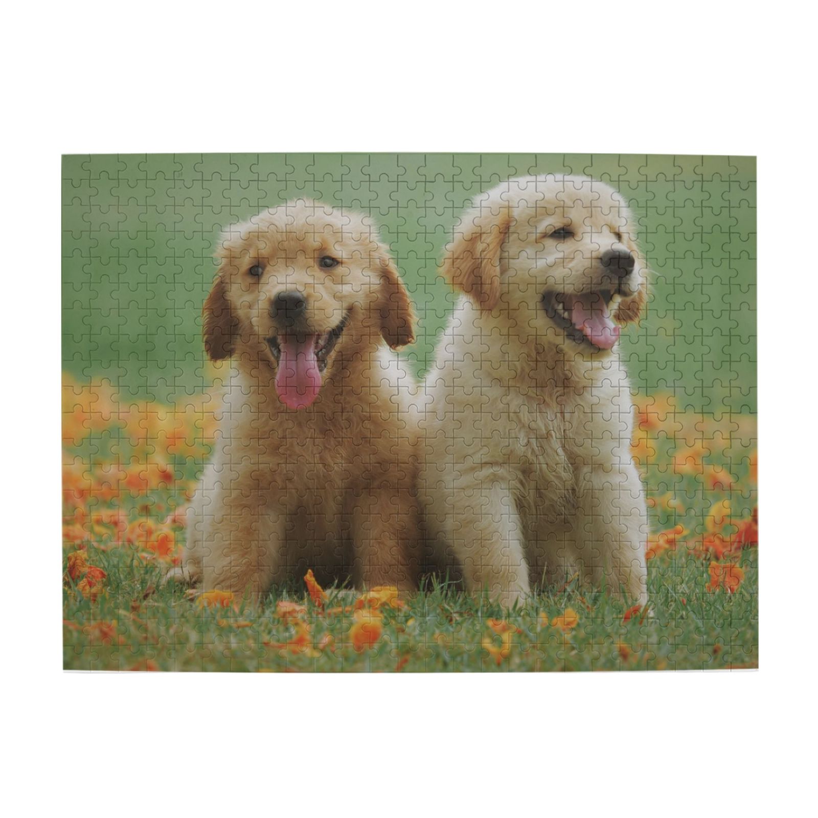 Yellow Labrador Retriever Puppies, Jigsaw Puzzles 500 Pieces Wooden ...
