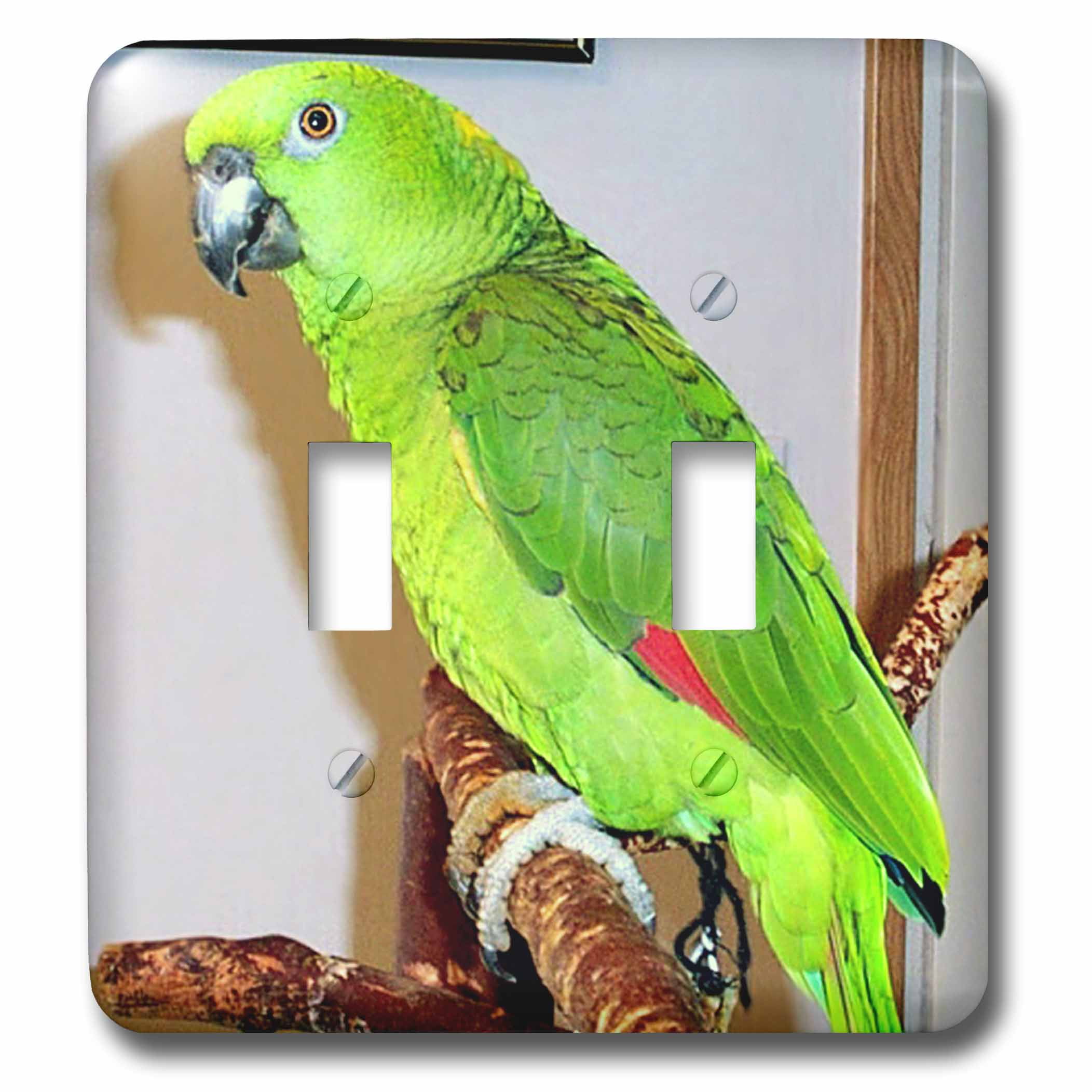 3dRose, Yellow Nape Parrot, double toggle switch - Walmart.com