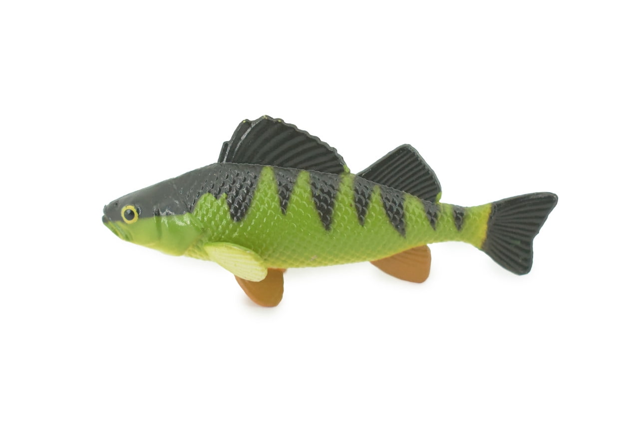 Yellow Perch, Hand Painted, Educational, Rubber Fish, Realistic Figure ...